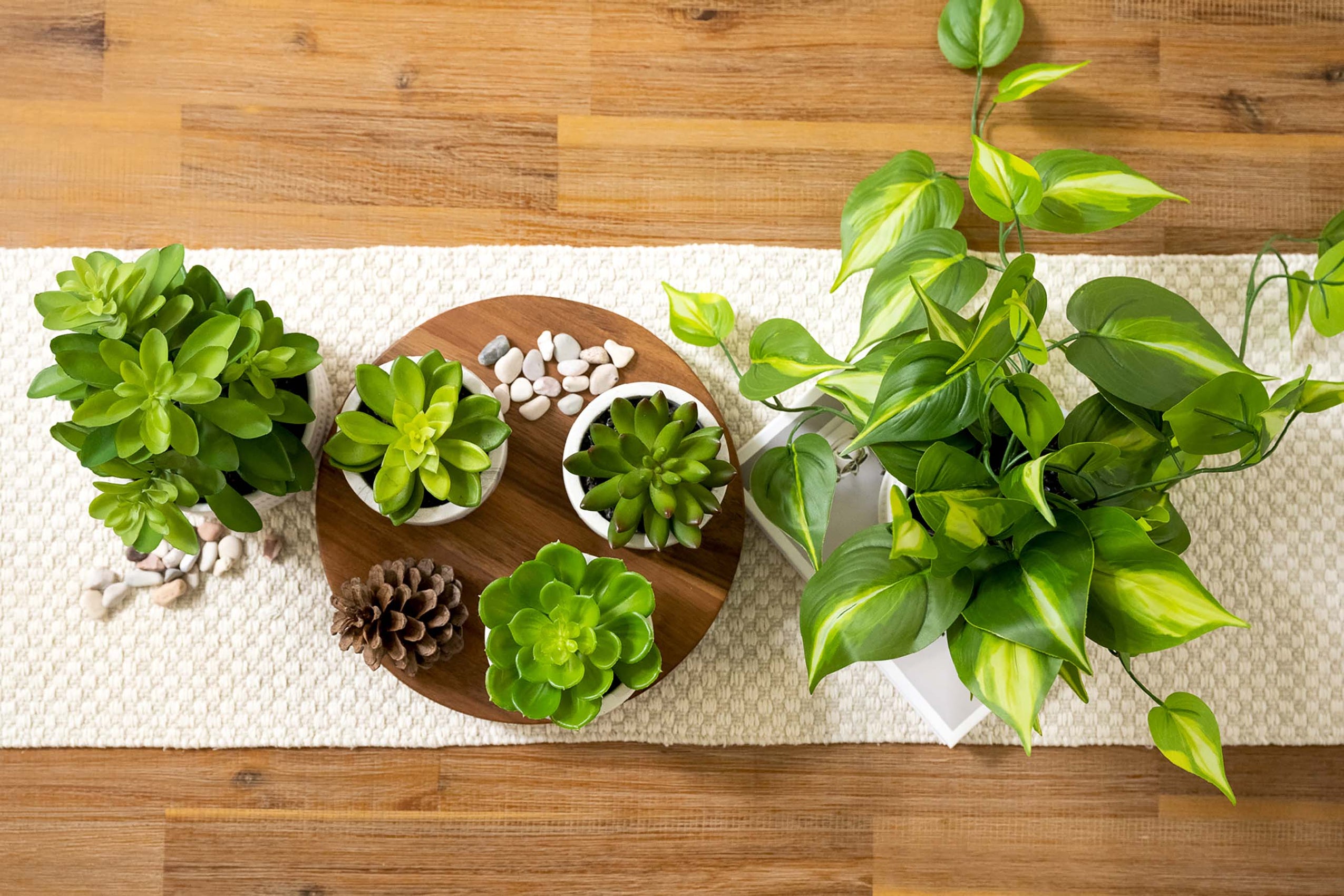 Round riser pedestal board | display board | acacia wood plant stand ...